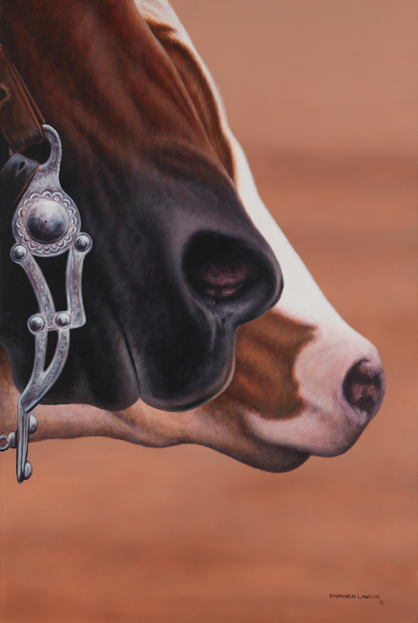 SOUL COLLECTOR– Shannon Lawlor Fine Art